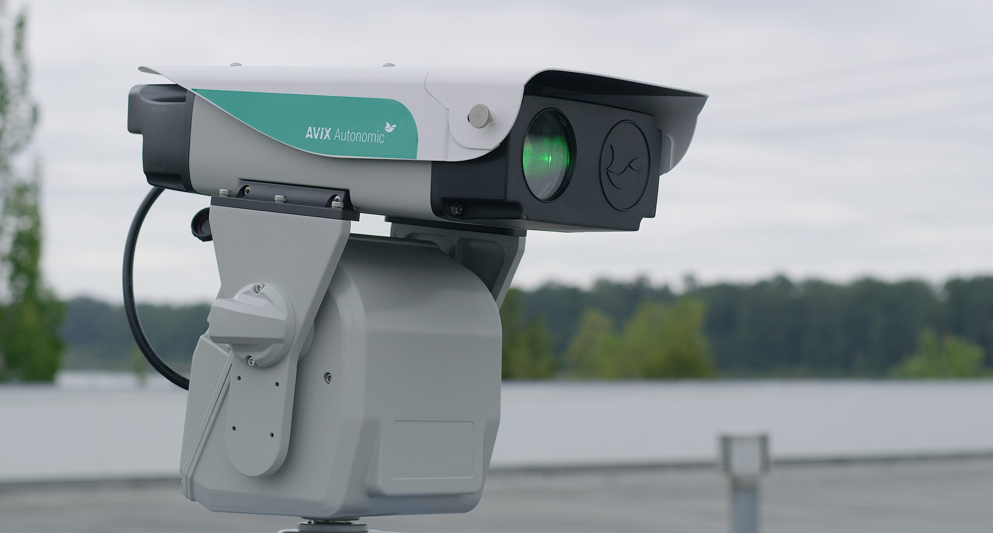 Proven Effective, Non-Lethal Bird Control Method